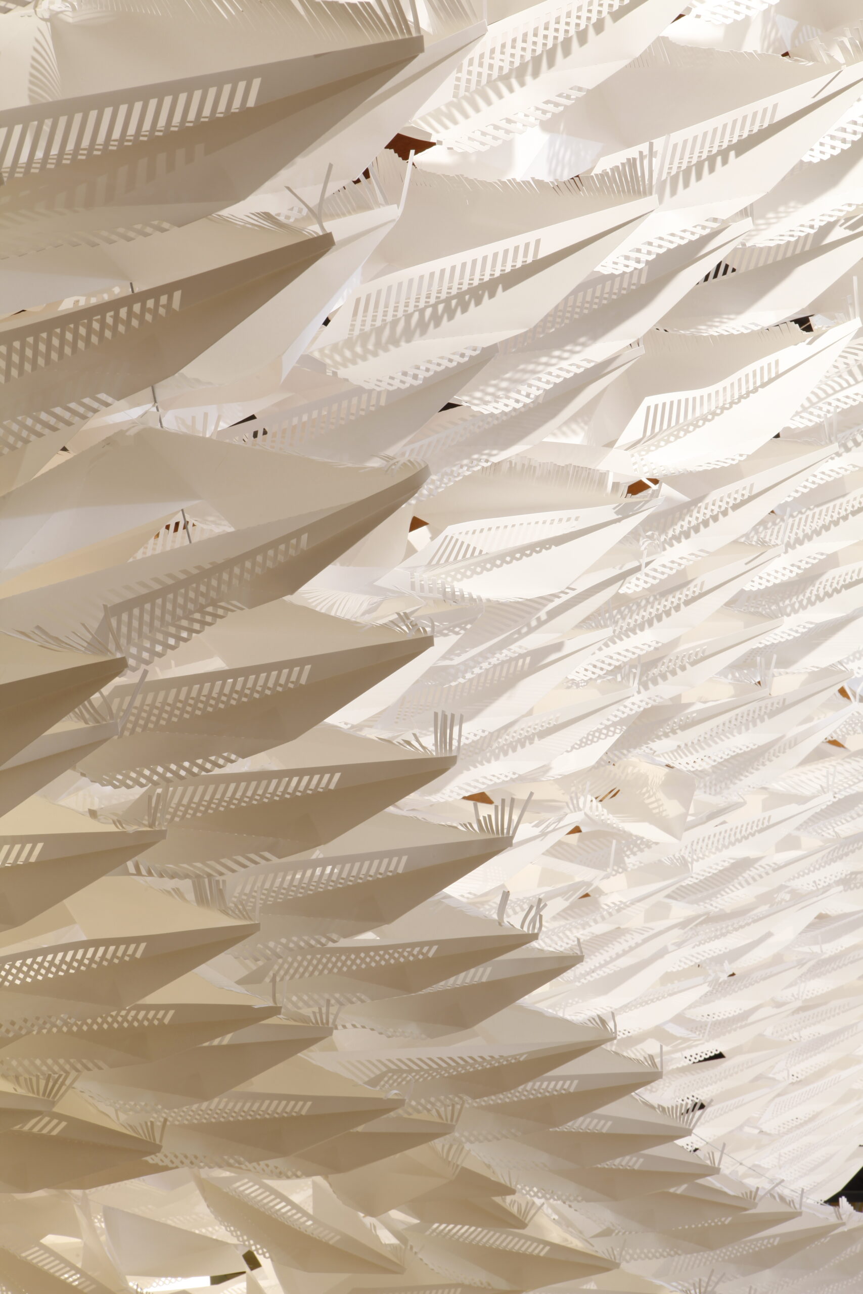 Fat Fringe – Vertebrae