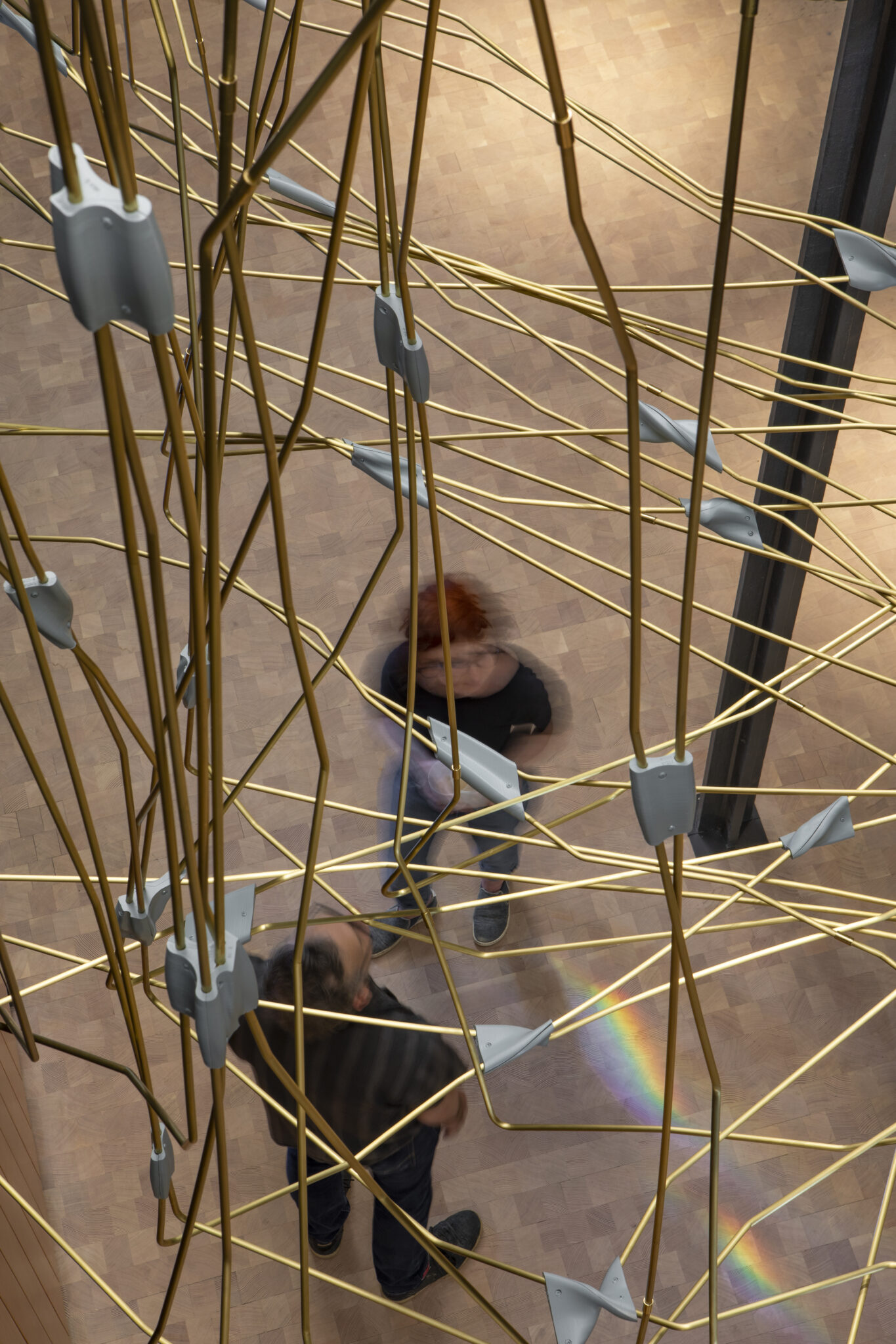 Entangled Agency – Vertebrae